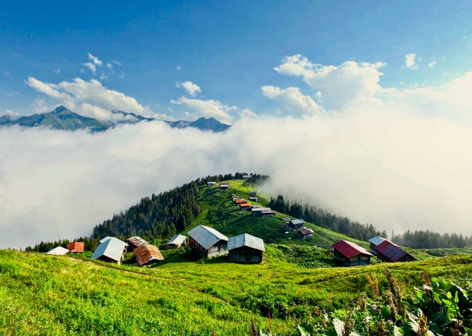 Doğu Karadeniz Turu için Yanınıza Almanız Gerekenler - İçerik Pazarı